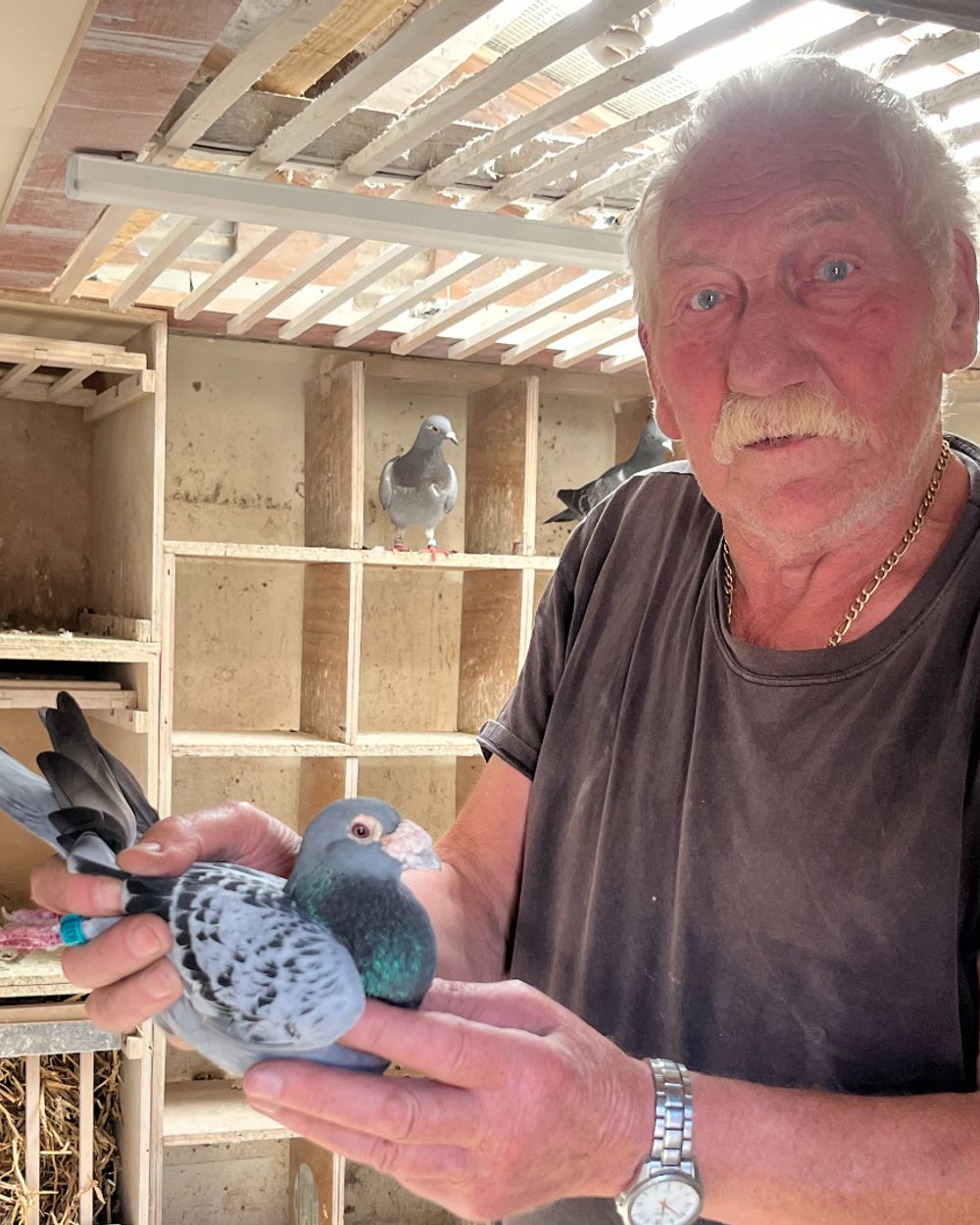 Kees (80) runt in zijn krappe achtertuin een topsportcentrum voor ...