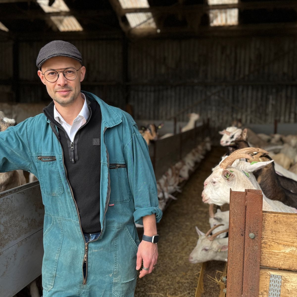 Geitenhouder Martin uit Tiendeveen smacht naar duidelijkheid na nieuw ...