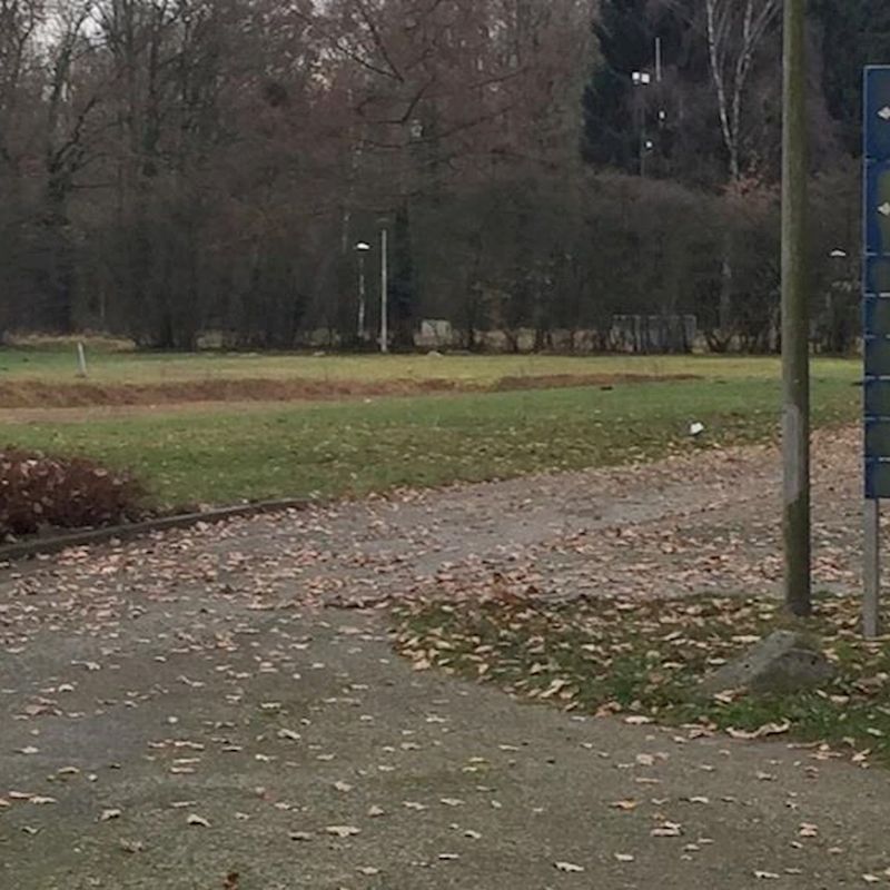 Omwonenden voormalig azc Markelo willen wel zonnepark - Oost