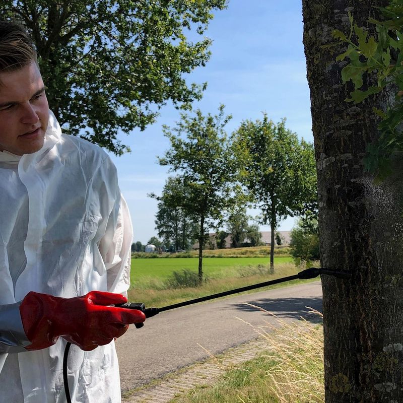 Is dit hét wondermiddel tegen de eikenprocessierups? - Oost