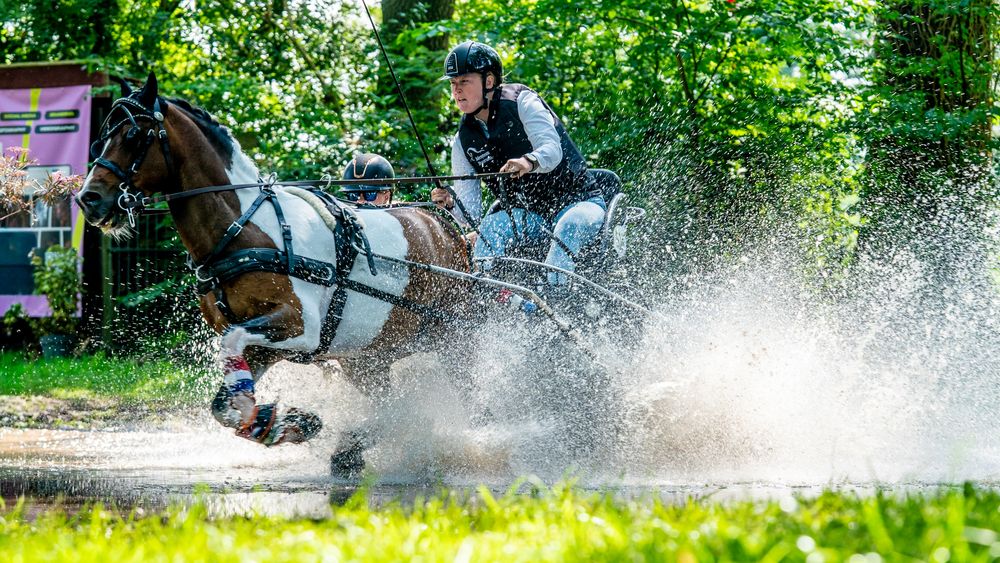 In Beeld: paarden vliegen over parcours bij menwedstrijd Zuidwolde ...
