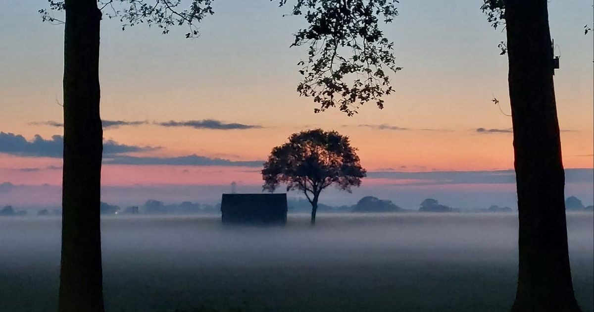 Lara heeft altijd camera mee, maar dat ene kiekje maakte ze met haar ...