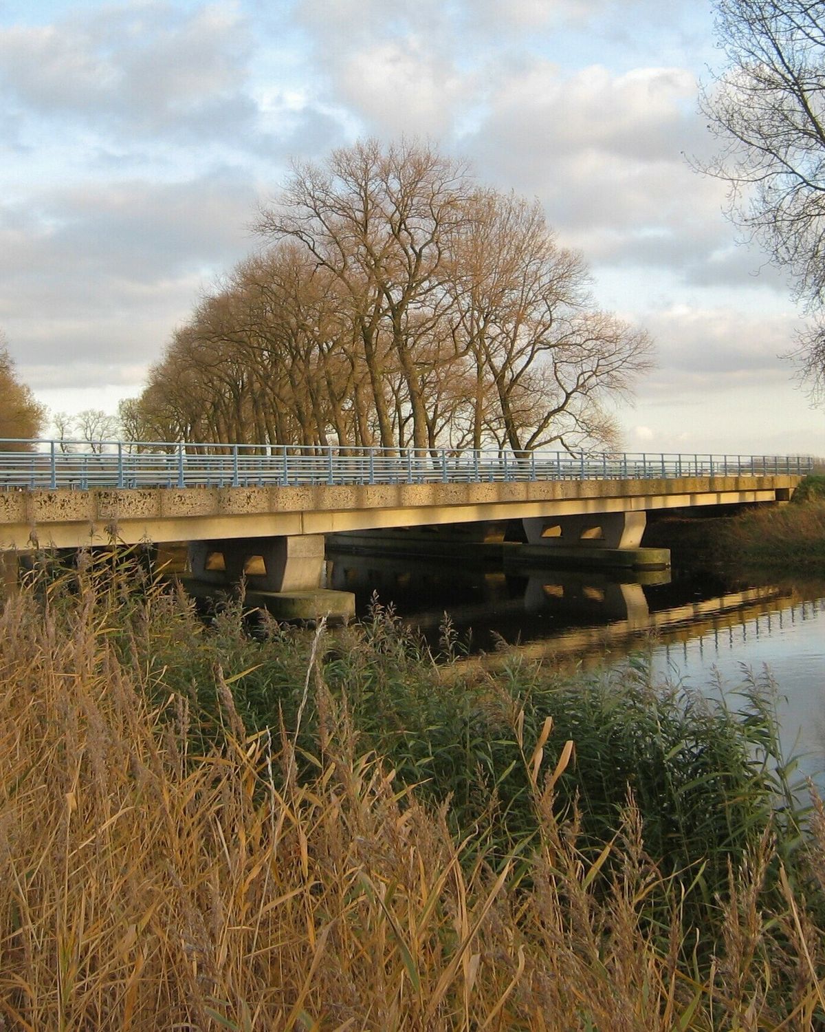 'Rigoureuze' maatregelen nodig voor lekkende dijk bij Sluis ...