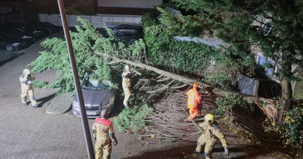 Stormschade: boom waait op auto, steiger dreigt om te vallen, overkapping verwijderd - Omroep West