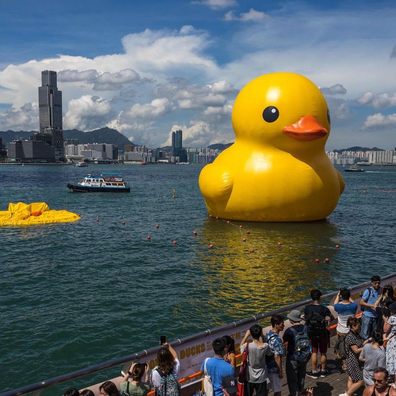 Enorme badeend in haven Hongkong na één dag al leeggelopen - RTV Drenthe