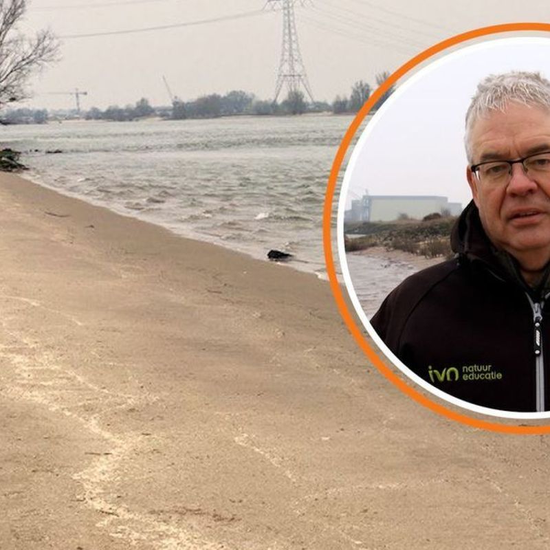 Dit is de mysterieuze gele smurrie langs de Waal - Omroep Gelderland