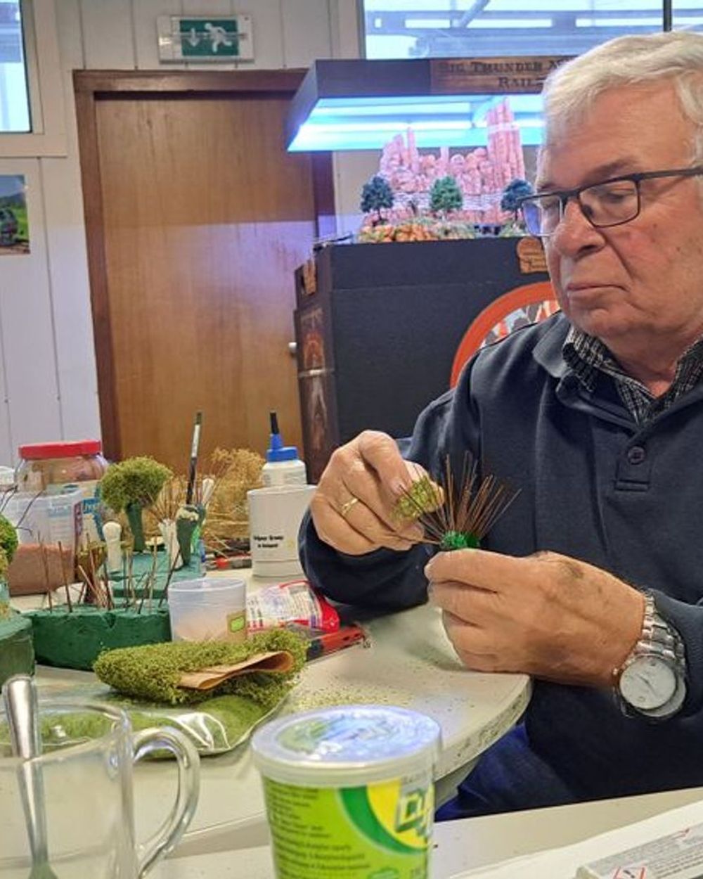 Cactusoase gaat dicht: valt het doek voor Modelspoorvereniging De ...