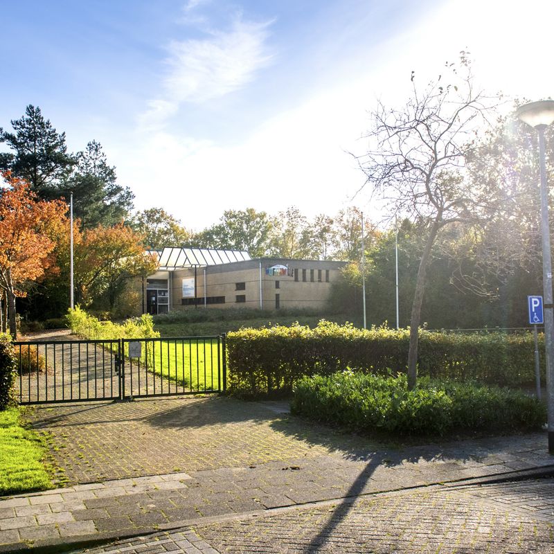 Verdachten zwembadmoord niet op vrije voeten: ‘Onbegrijpelijk’ - RTV ...