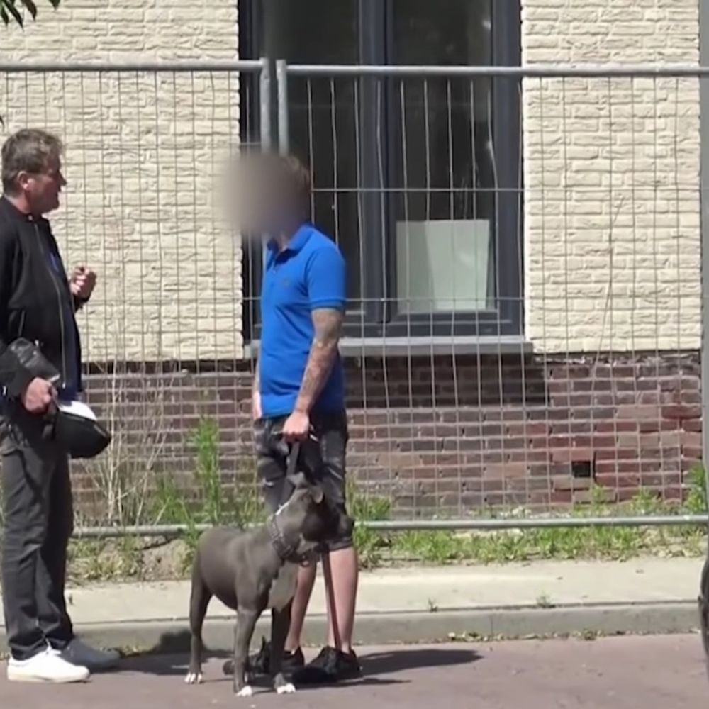 Notoire oplichter Stan T. slaat toe bij voetbalclub ADO Den Haag - L1 ...