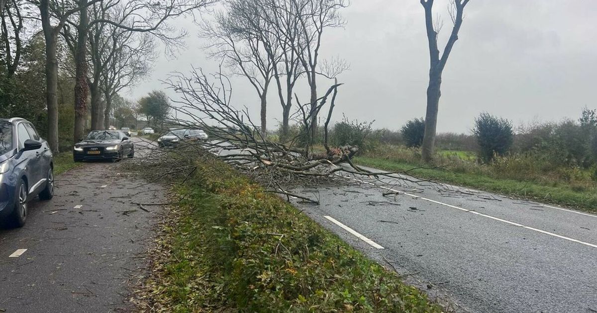 Weinig schade na storm Benjamin: 'Het is een speldenprikje vergeleken ...