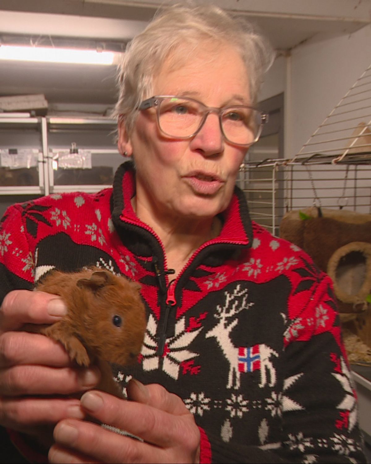 "Je moet een beetje gek zijn", zegt Silvia (72) van Caviadorp Bakkeveen ...