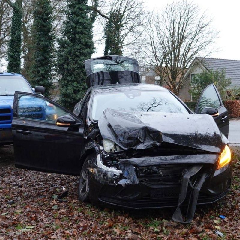 Bestelbus uitgebrand • auto botst tegen boom - Omroep Gelderland