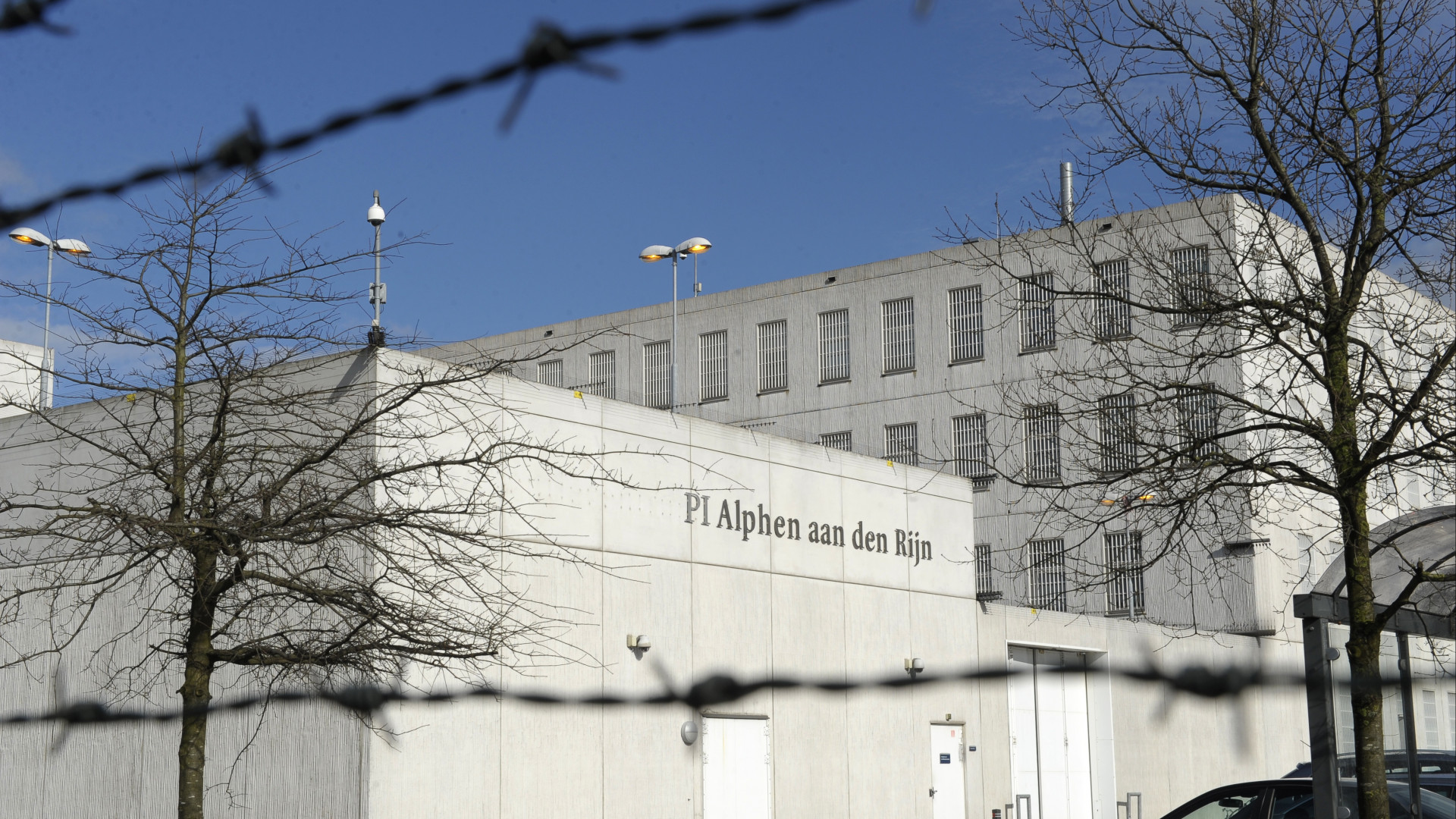 Melding van verzwakt dier in gevangenis leidt tot verrassing - Omroep West