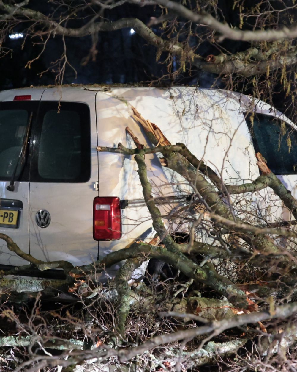 Liveblog storm Floriane | Omgevallen boom zorgt voor schade aan busje ... Liveblog storm Floriane | Omgevallen boom zorgt voor schade aan busje ...