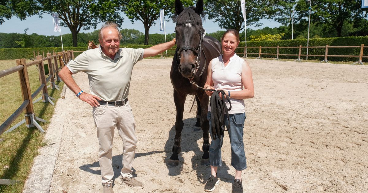 Limburgs hobbypaard springt tussen wereldtop in Kessel - L1 Nieuws