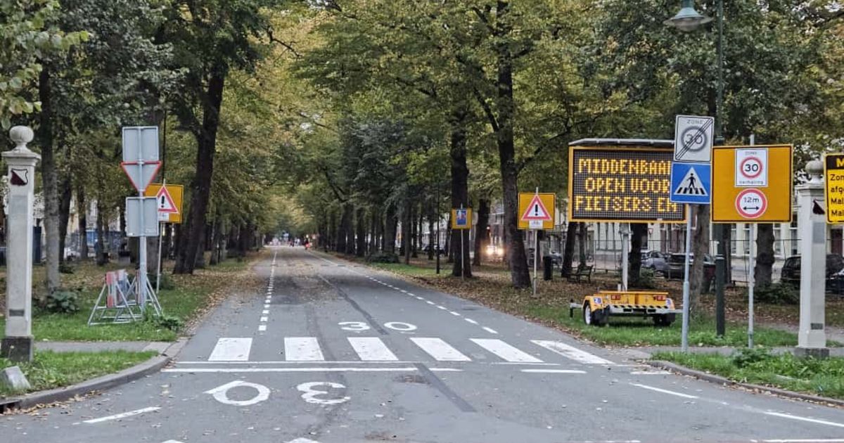 Maliebaan in Utrecht weer open na herinrichting: auto's nog tijdelijk ...