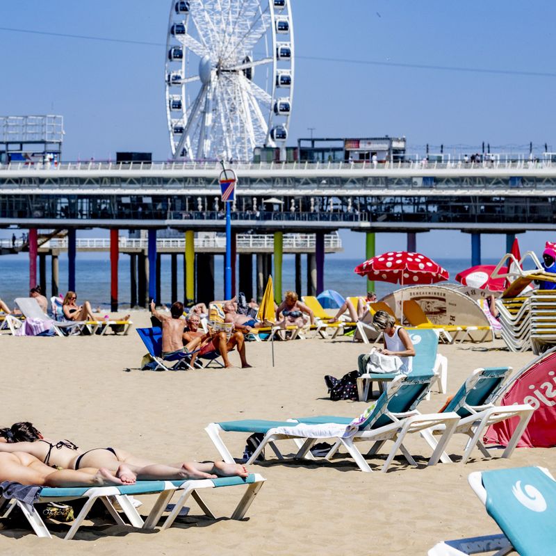 'Het is een tapijt van peuken': Stichting de Noordzee blij met ...