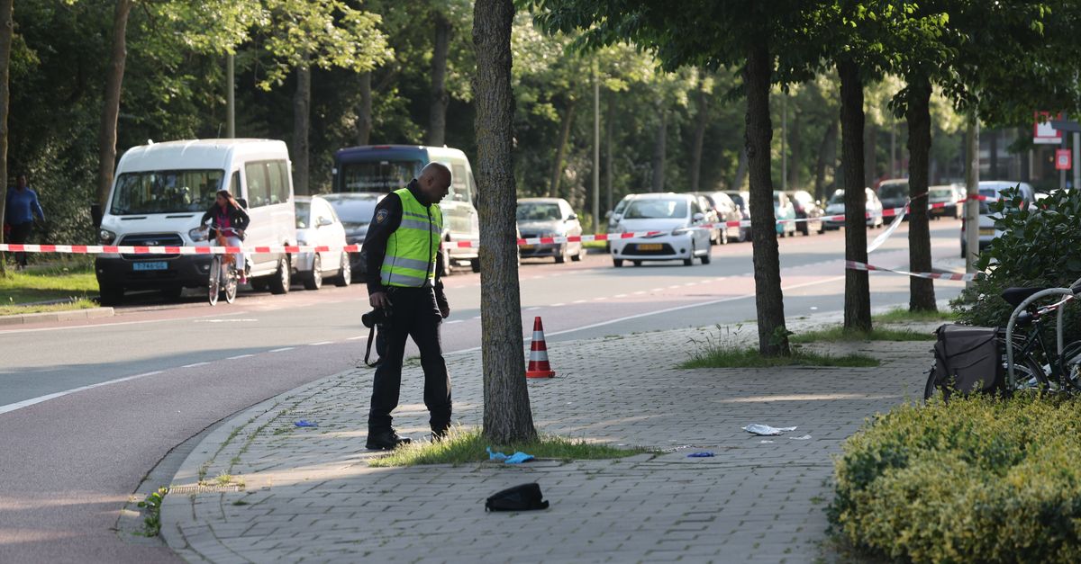 Dordtenaar (36) opgepakt in onderzoek naar dodelijke aanrijding in Den ...