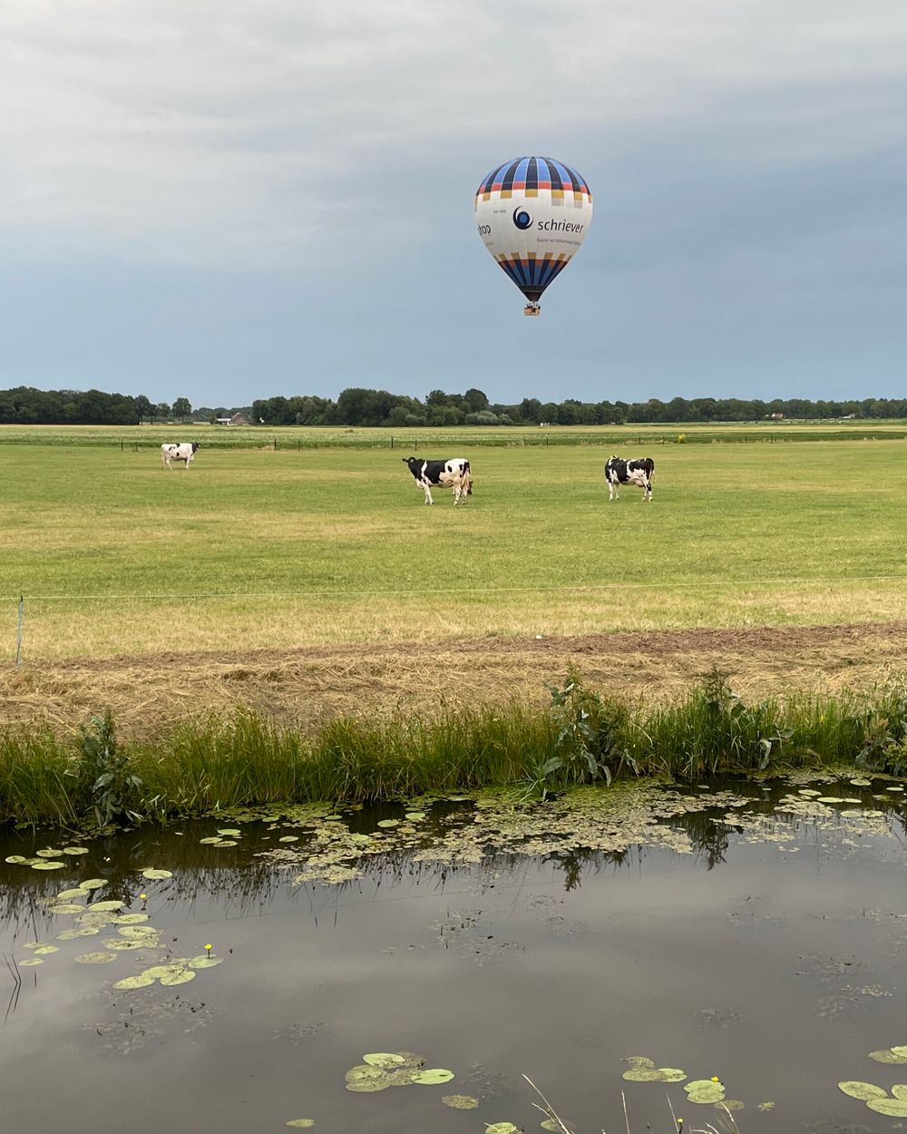 Provincie: 'Meer geld voor aankopen gronden voor landbouw en natuur ...