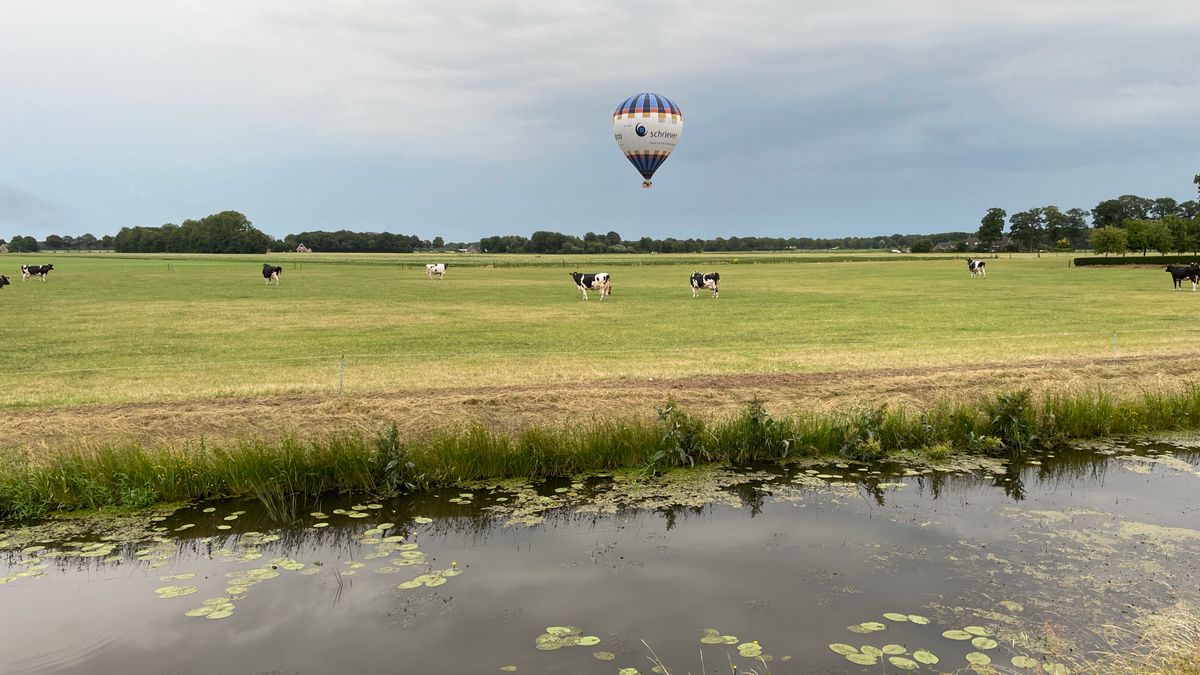 Provincie: 'Meer geld voor aankopen gronden voor landbouw en natuur ...