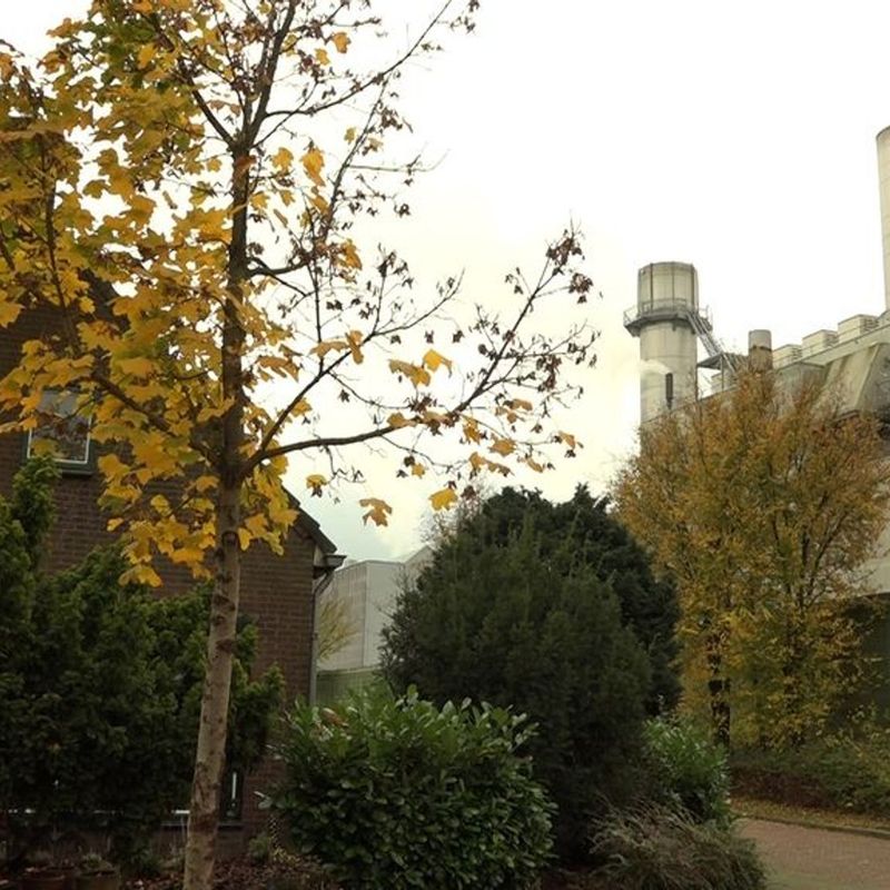 Plan voor logistiek centrum Eerbeek de ijskast in - Omroep Gelderland