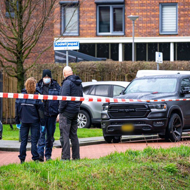 Man loopt ernstige verwondingen op bij schietpartij in Hoogvliet - Rijnmond