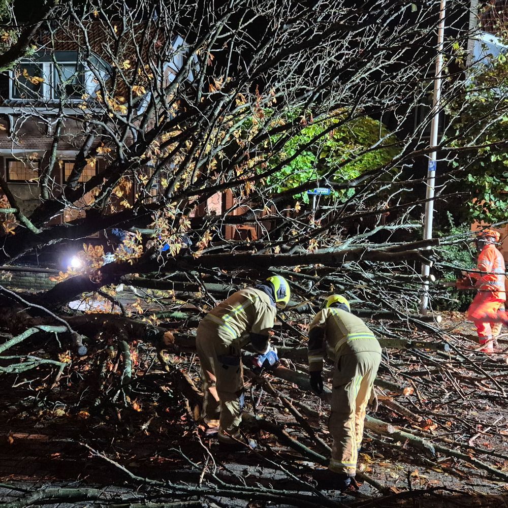 Storm Benjamin laat schade achter in regio: 'We waren in shock ...