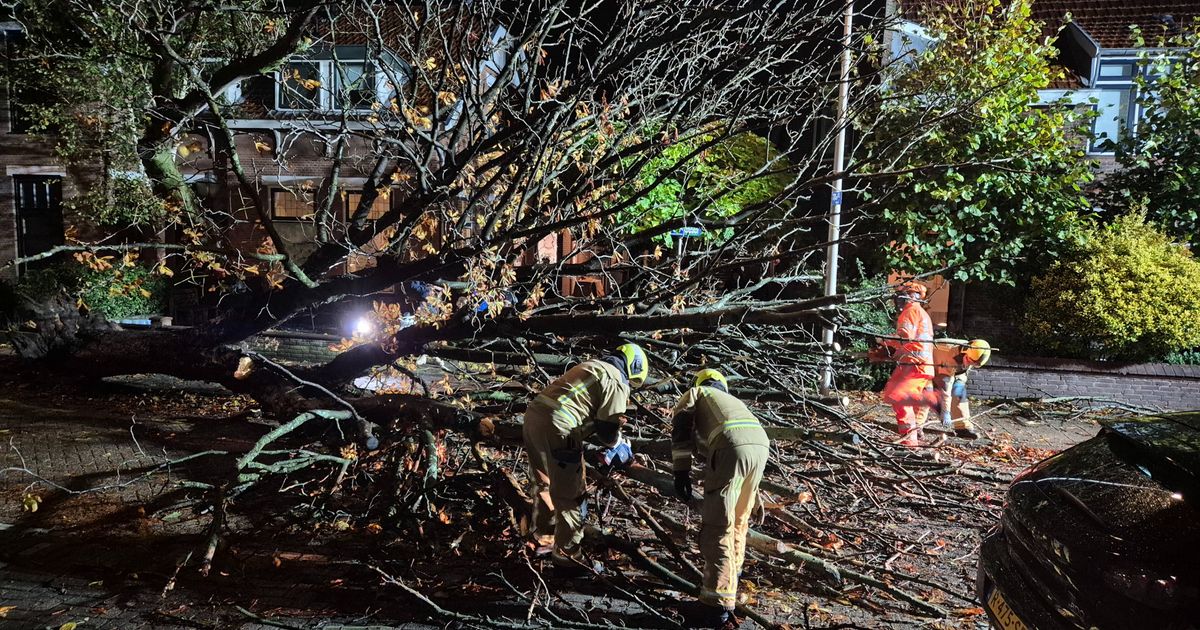 Storm Benjamin laat schade achter in regio: 'We waren in shock ...