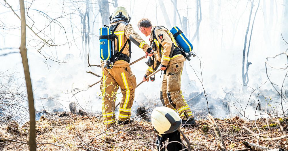 Tientallen brandweerlieden blussen brand op het Dwingelderveld - RTV ...