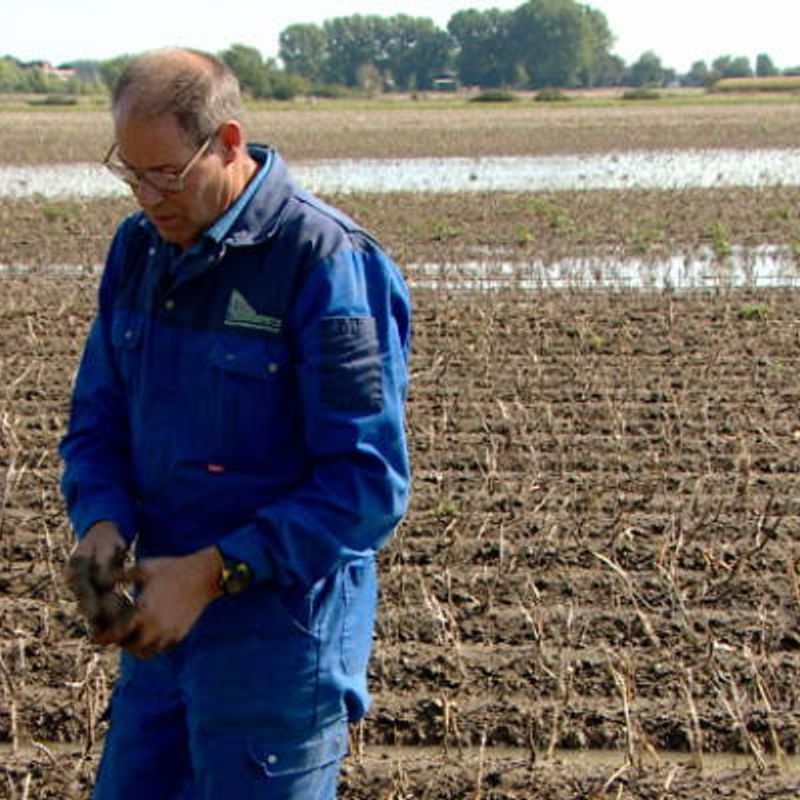 Een groot deel van de aardappelen van teler Arno Vael is verrot door de hevige regenval - Omroep ...