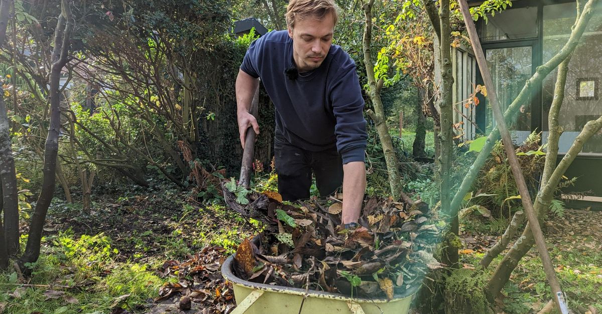 Jongere mensen ontdekken volkstuintje: 'Mijn eigen rucola, zo leuk ...