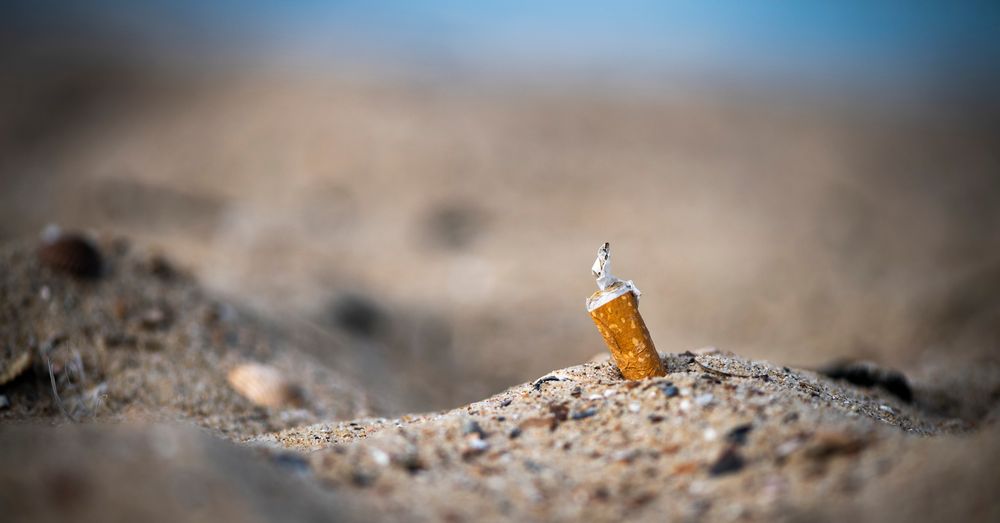 Duizenden peuken en een 'bizarre' vondst: 'Het onderstreept wel hoe ...