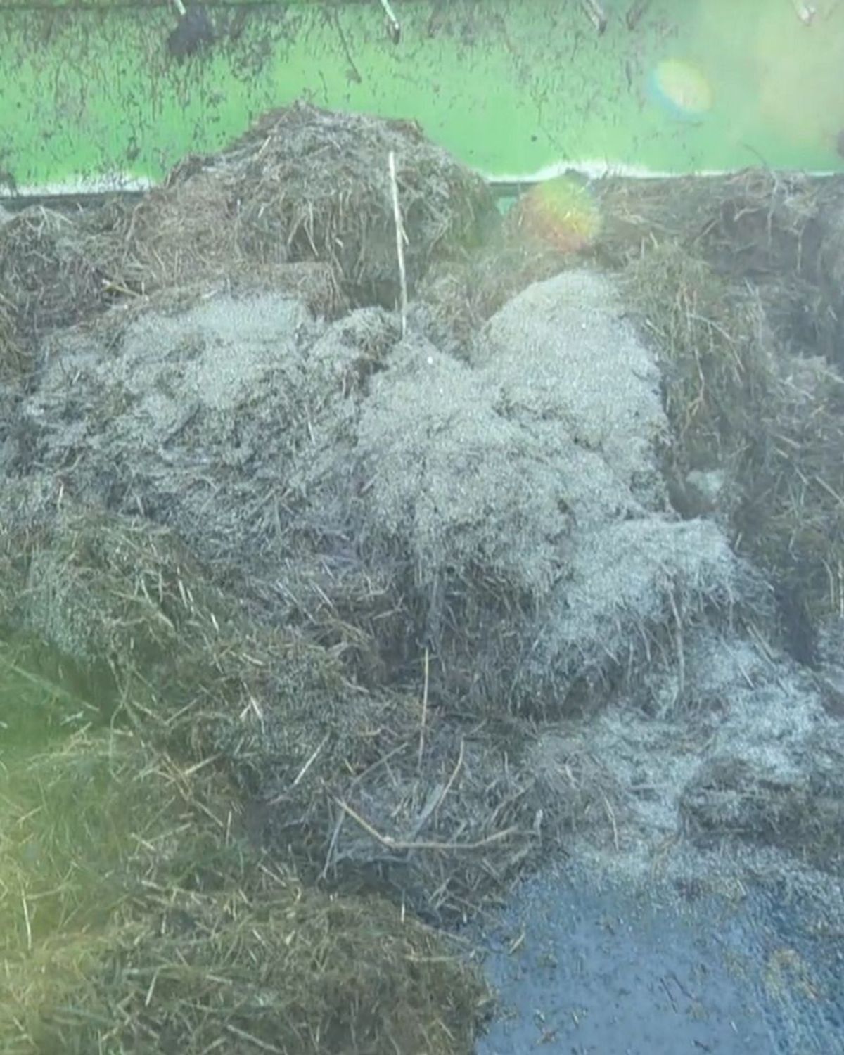 Boeren verwerken bermgras en hekkelspecie tot compost - Omrop Fryslân