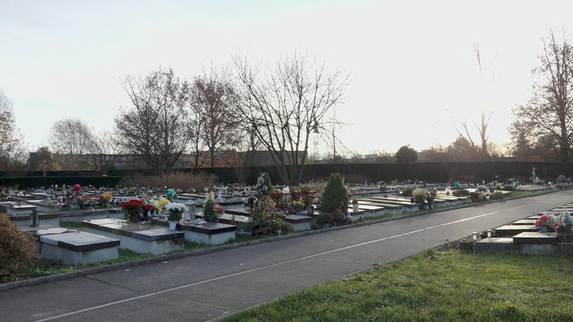 Rijnmond Vandaag - Rijnmond Vandaag - Aflevering 25238 - 04-12-2025 ...