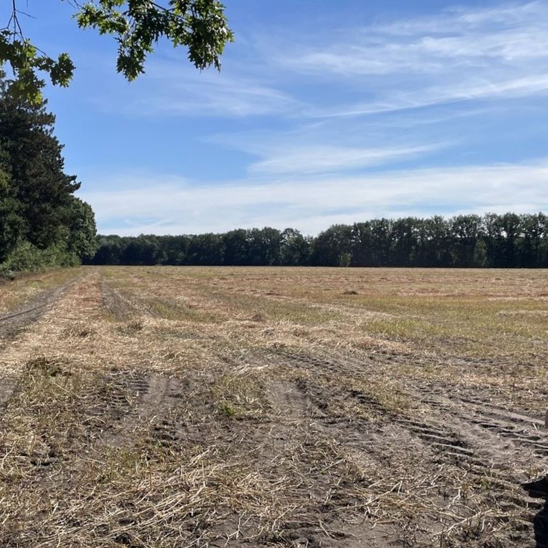 Van landbouwgrond naar natuurbegraafplaats: 'Bewoners vragen of ze nu ...