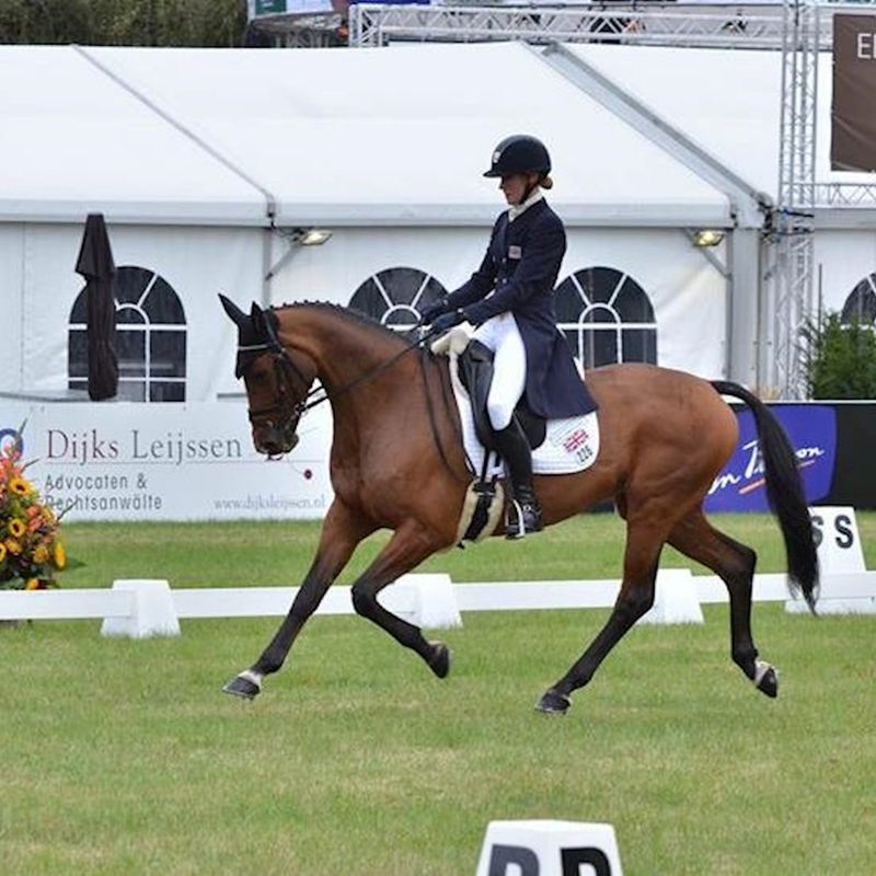 Isabella Innes Ker blijft aan de leiding bij Military Boekelo-Enschede ...