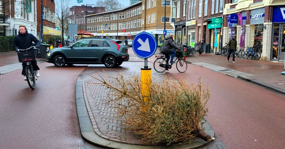 Luc is klaar met de kerstbomen op straat: ‘Het ziet er niet uit’ - RTV ...