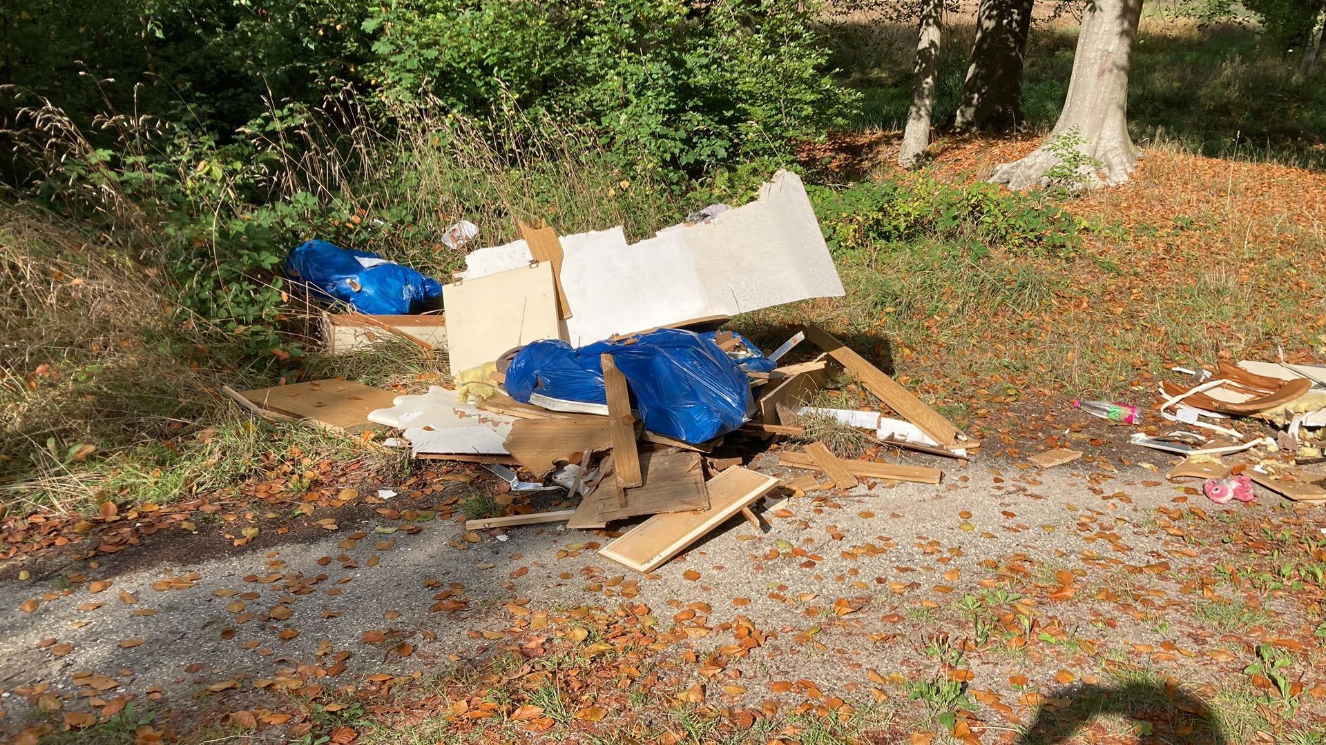 Dood schaap en afval gedumpt in Drents-Friese Wold: 'Bedankt namens de ...
