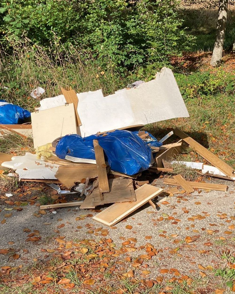 Dood schaap en afval gedumpt in Drents-Friese Wold: 'Bedankt namens de ...
