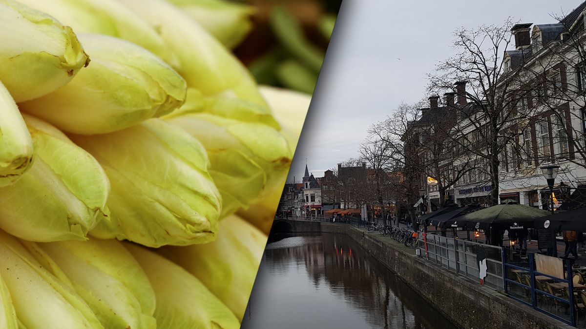 Deze Friese bedrijven gingen failliet in maart - Omrop Fryslân