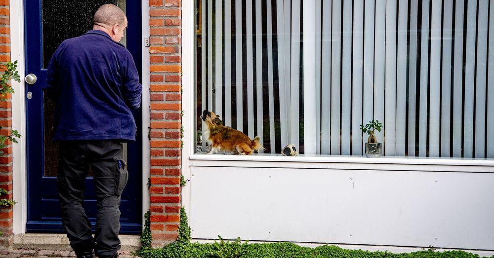 Zorgen om dieren, wanneer en hoe grijp je in? - Omroep Gelderland