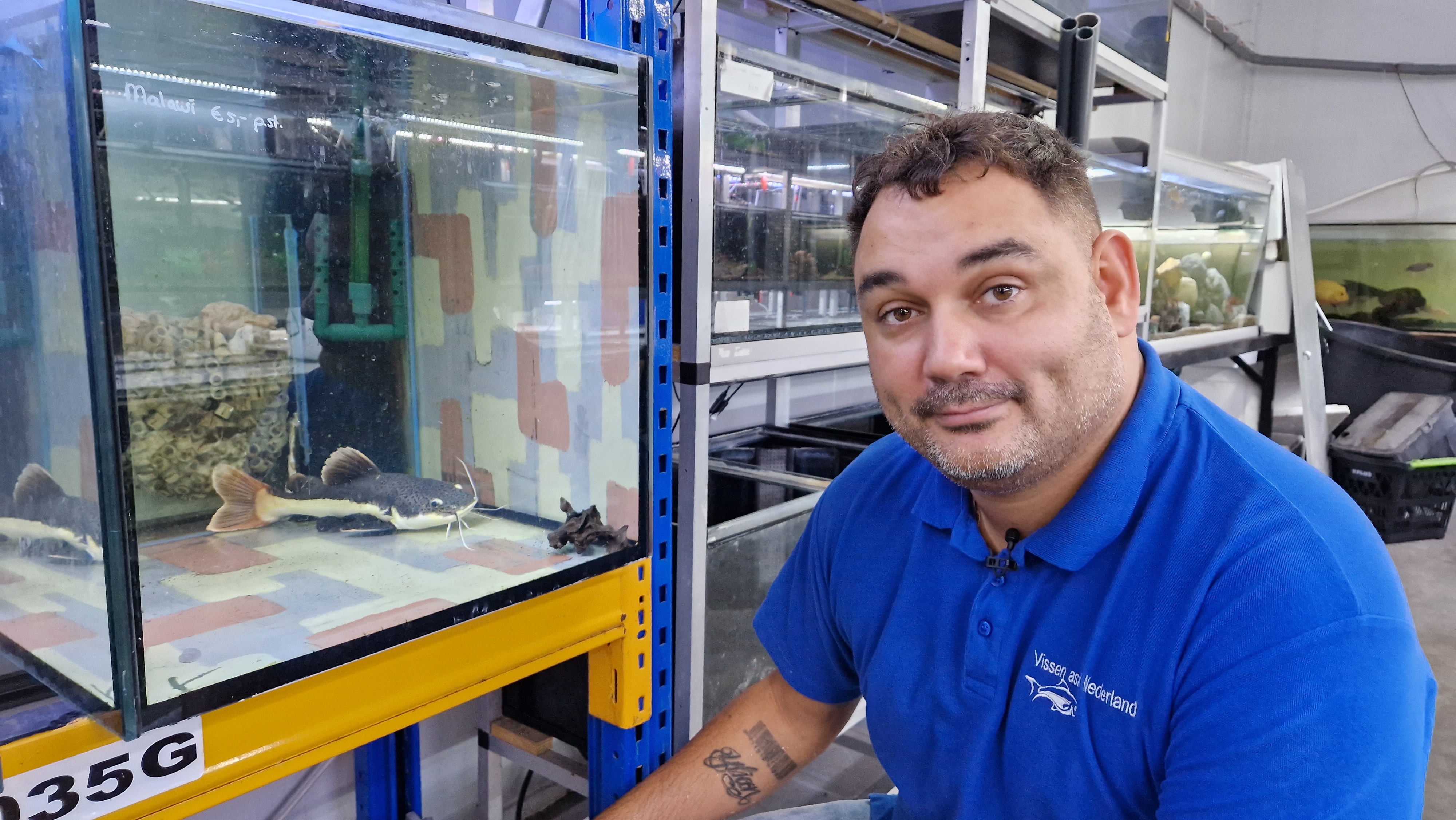 Van goudvis tot rog of kreeft: het vissenasiel in Sliedrecht vangt ...