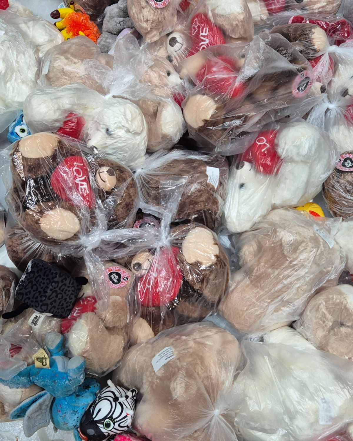 Ruim 1400 knuffels op het ijs gegooid voor arme gezinnen: 'Dit is zo ...
