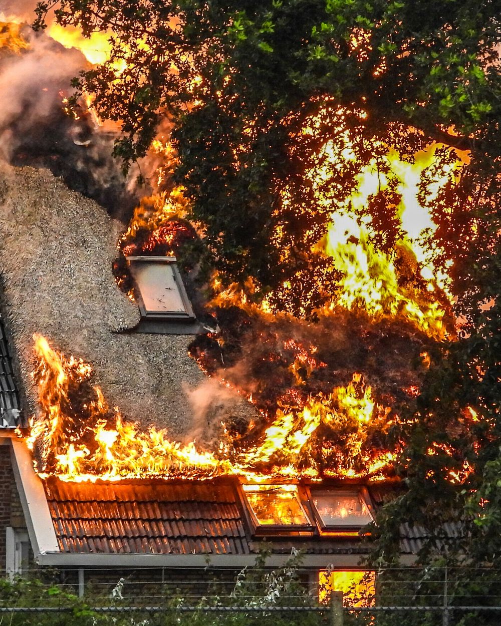 Katastrofe yn Sumar: pleats folslein yn de jiske lein by grutte brân ...