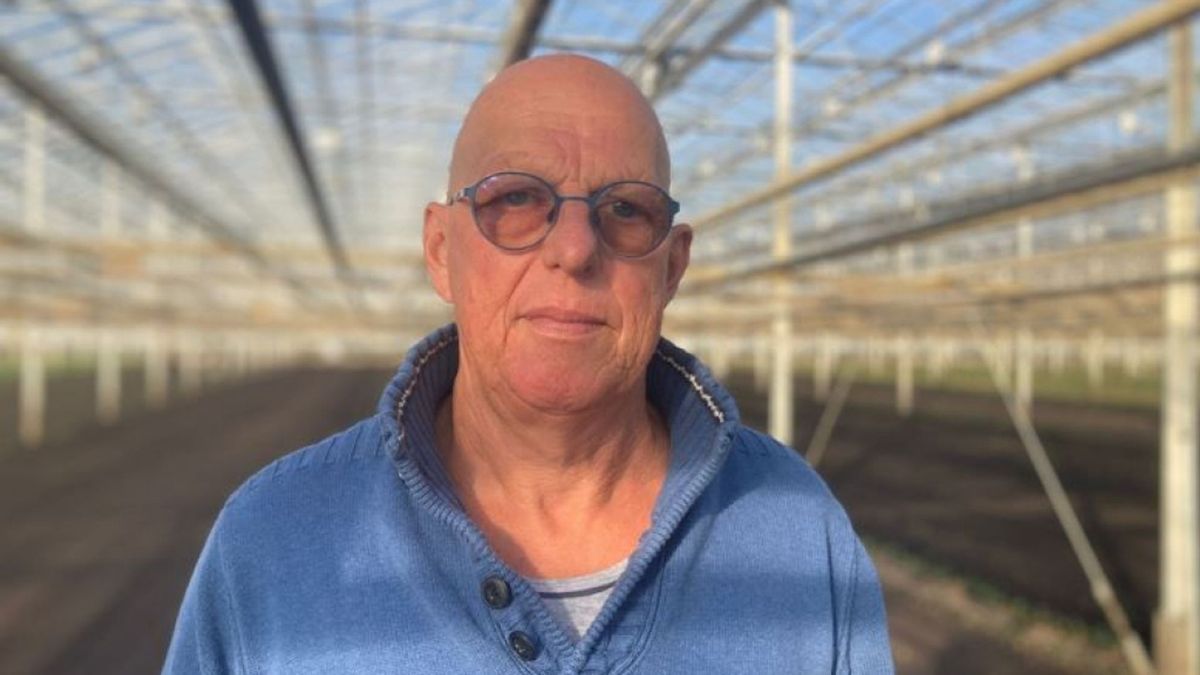 Bloemenkweker kan niet stoppen zonder failliet te gaan: 'Niemand wil ...