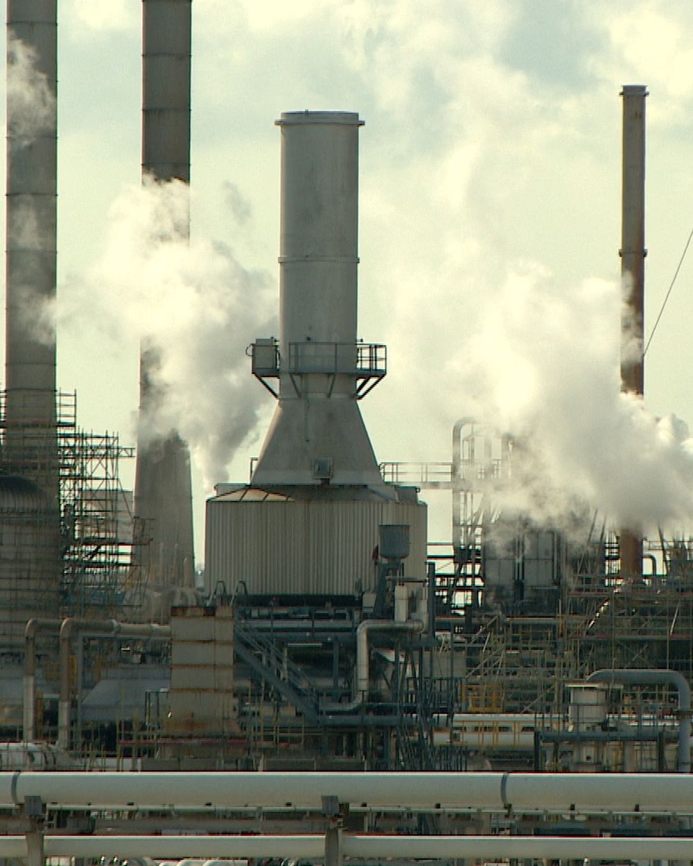 Milieudefensie heeft nu Yara, Dow en Zeeland Refinery in het vizier ...