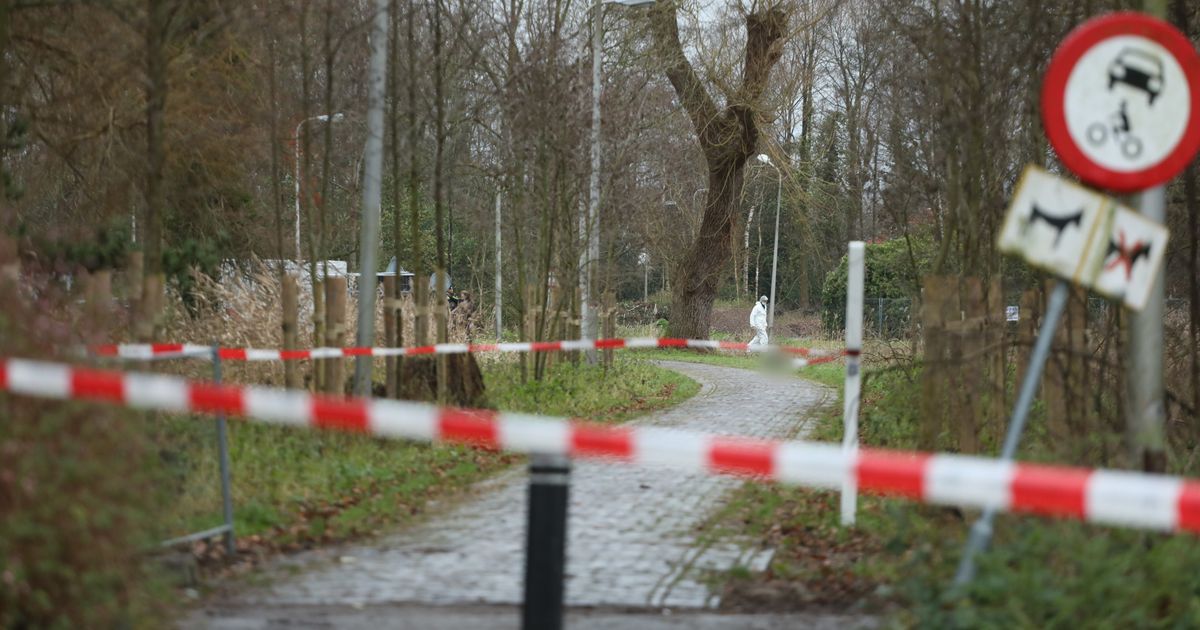 Dode man in berm is 39-jarige Pool - Omroep West