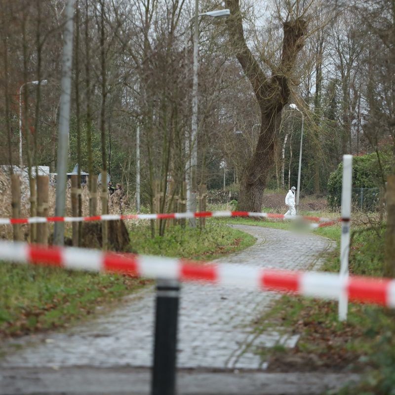 Dode man in berm is 39-jarige Pool - Omroep West
