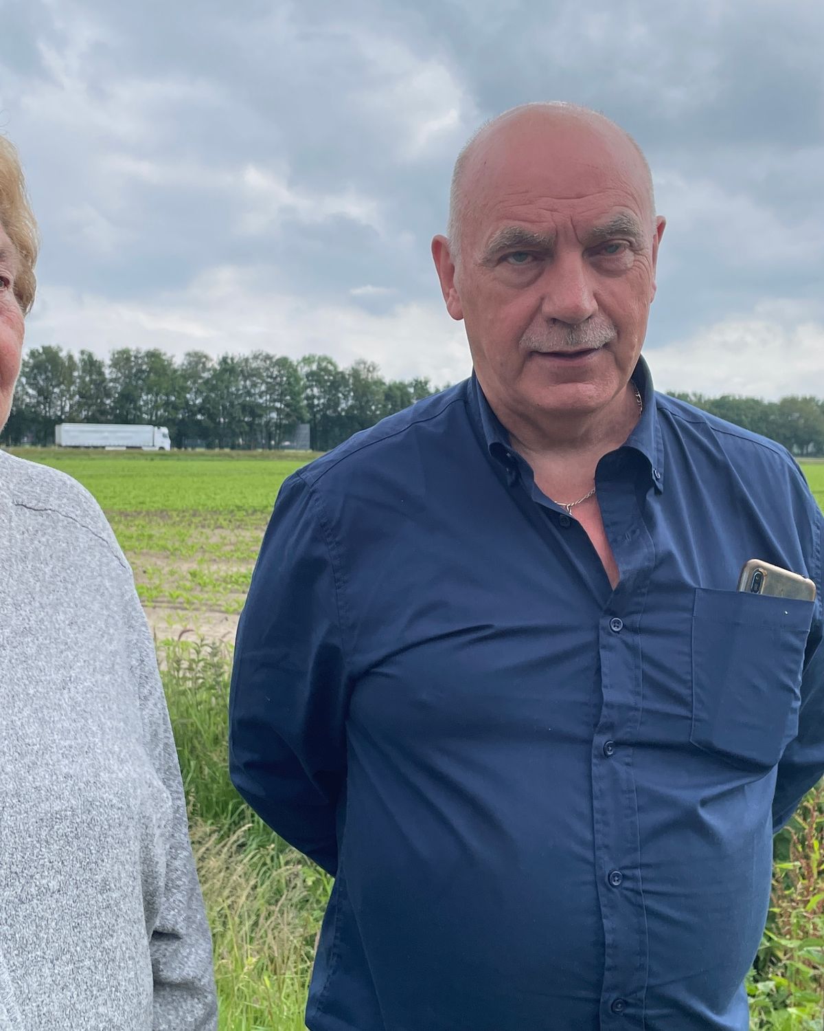 Geen bomenkap, maar extra groen: bosje bij Zwartemeer wijkt niet voor ...