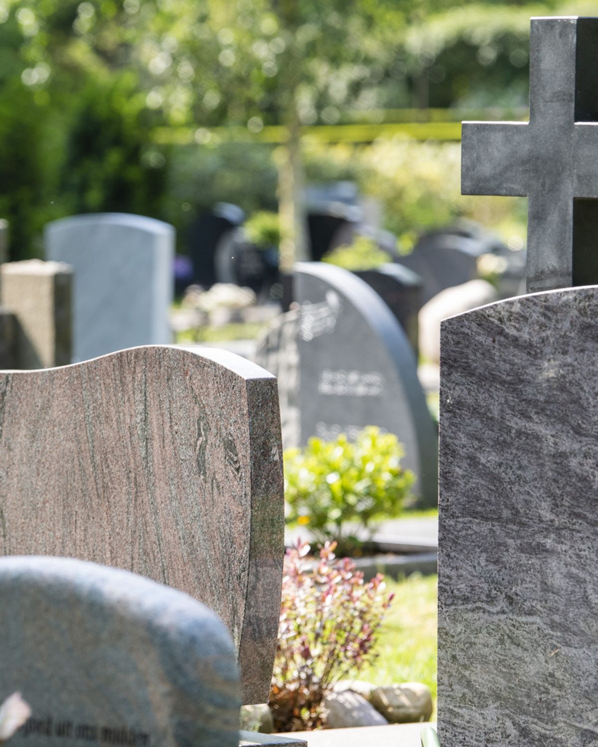 Grafdelver rooft sieraden en gouden vullingen uit graven - Omroep West